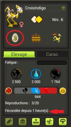 [Guide] Les Dragodindes | Le Bazar de Papycha