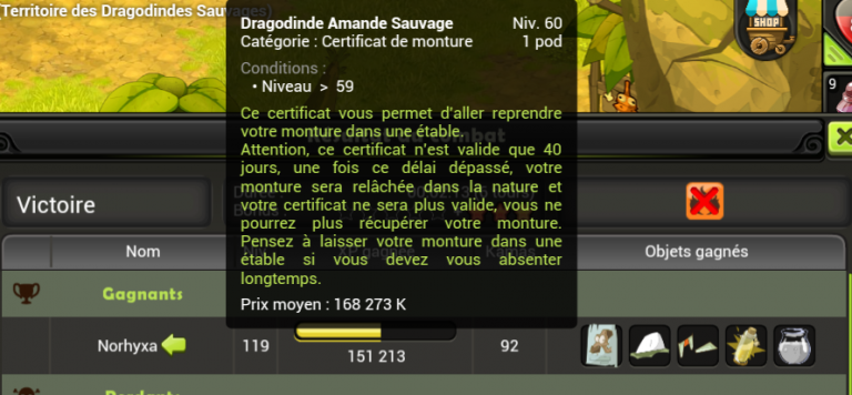 [Guide] Les Dragodindes | Le Bazar de Papycha