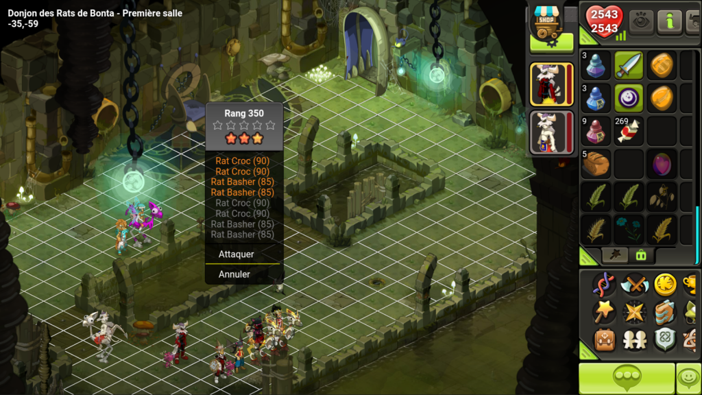 Donjon des Rats de Bonta | Le Bazar de Papycha